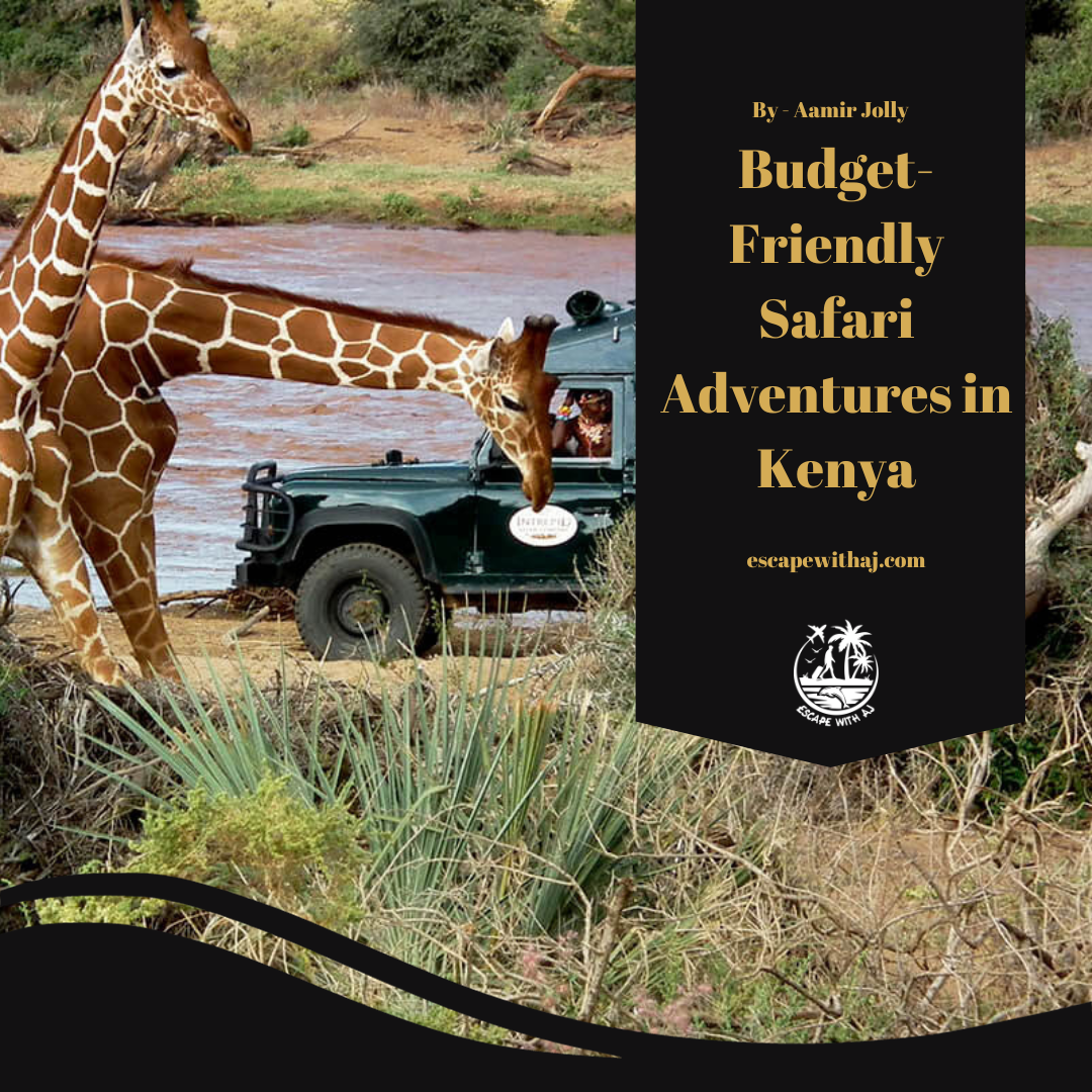 Budget-Friendly Safari Adventures in Kenya - Escape With AJ